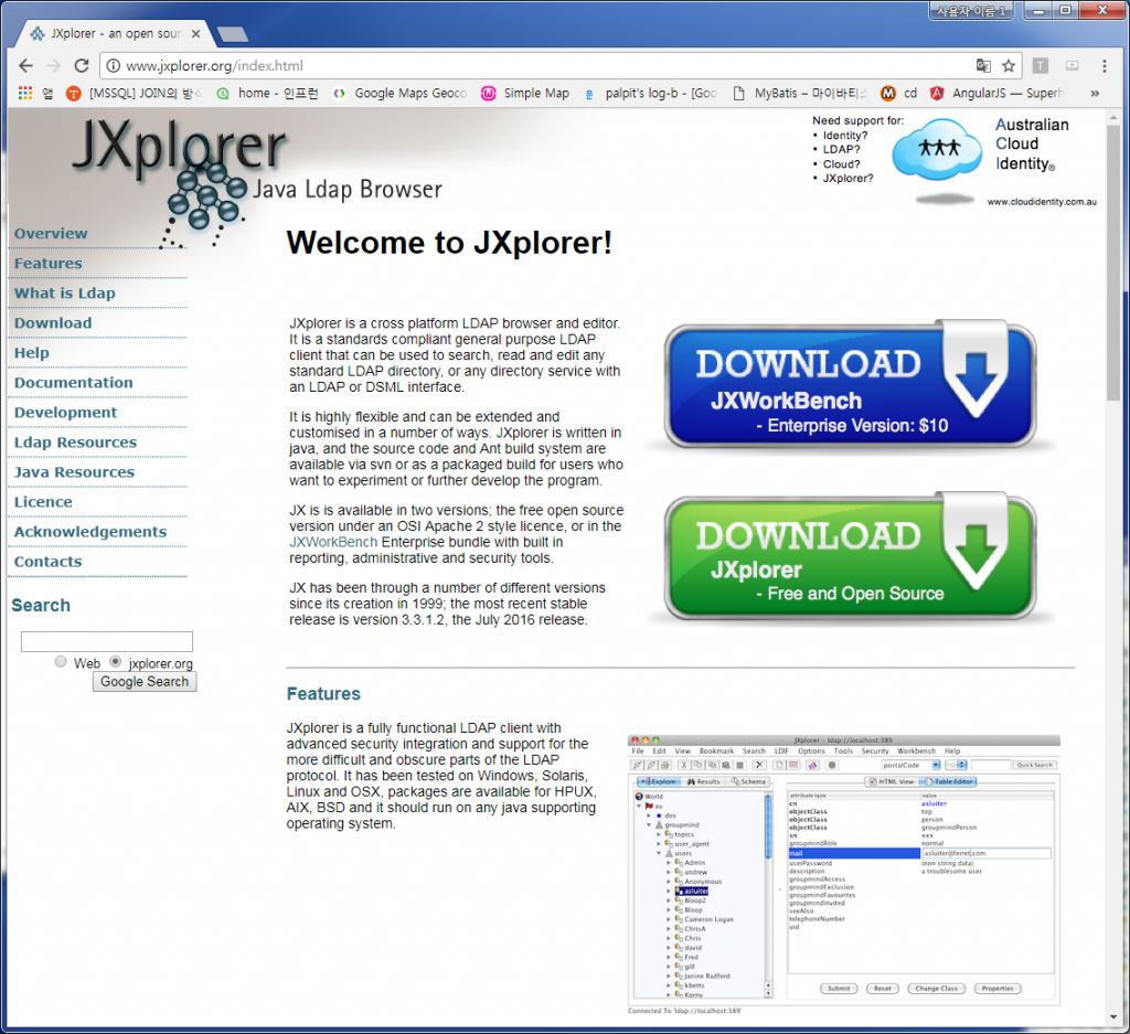 LDAP Browser - DSMENTORING